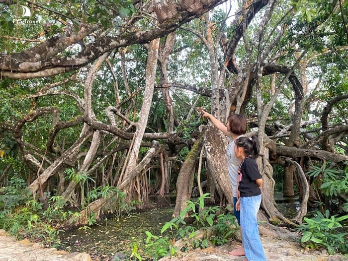 Tour Nam Cát Tiên 3 ngày 2 đêm từ Hà Nội - Nghỉ lễ 30/4 - 1/5